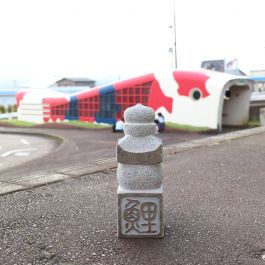 Isseki Gorinto carp(Five shaped towers made of one stone)